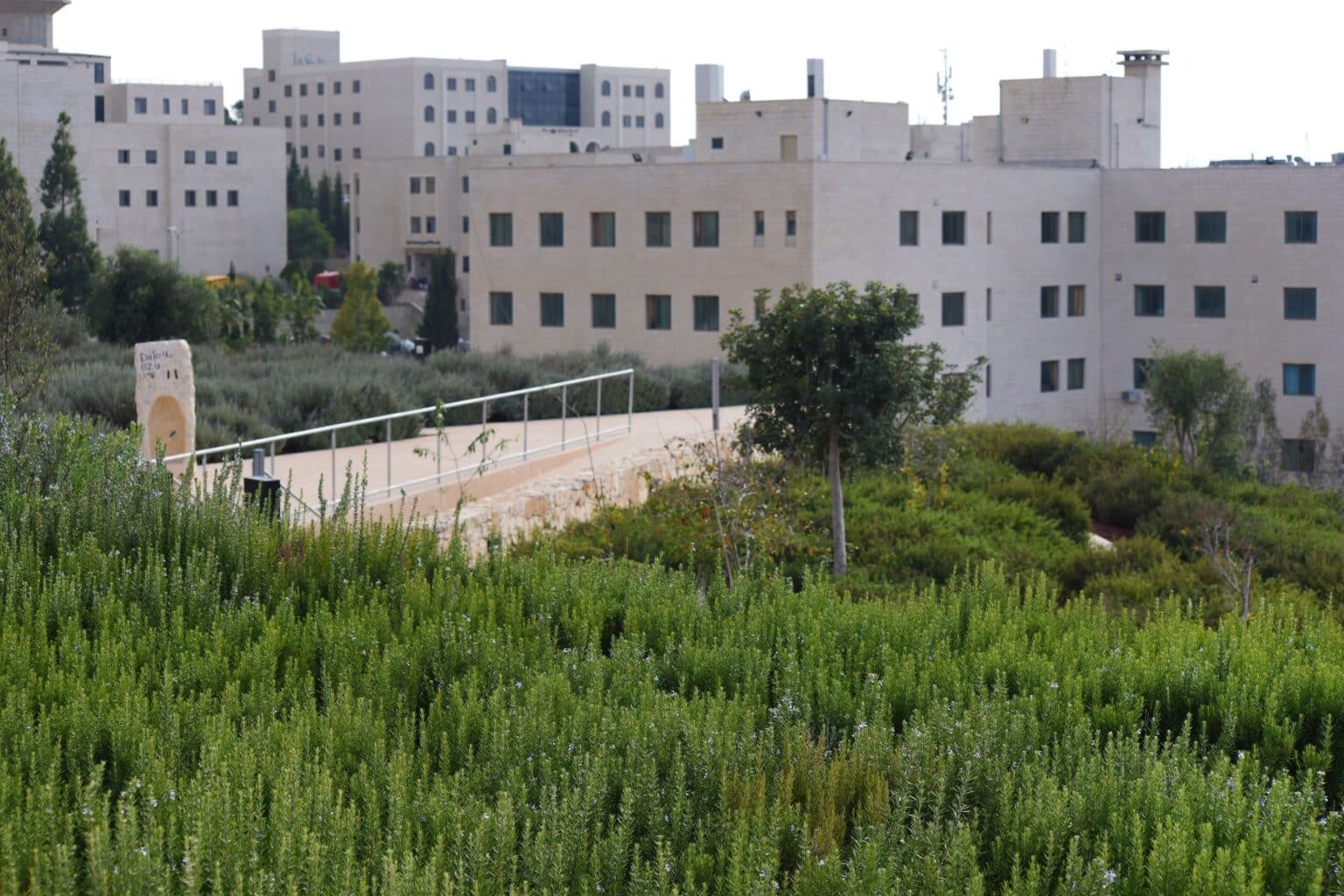 29 Years Ago: Architect of Hamas Deadly Attacks, Yahya Ayyash, the ...